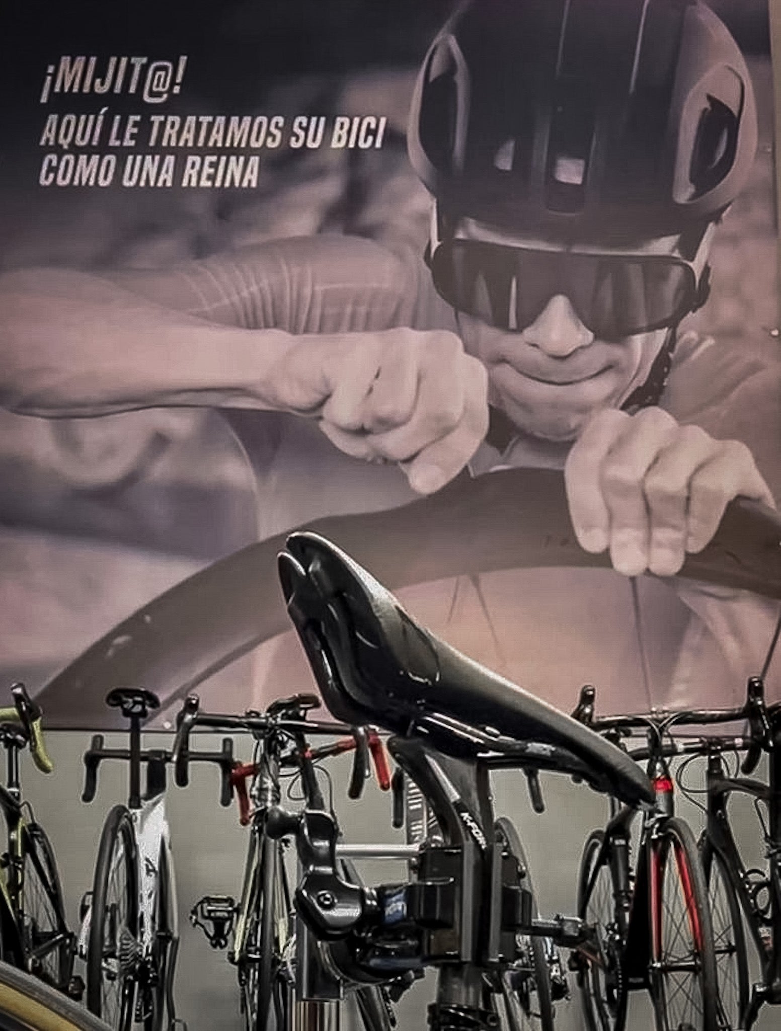 SUPPORT – GO RIGO GO!