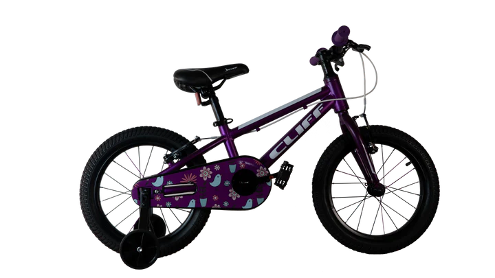 Bicicleta CLIFF LIZARD RIN 16 2024 – GO RIGO GO!